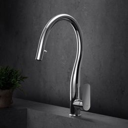 Fortis Mosa extend K&uuml;chenarmatur mit 2 Strahlarten, schwenkbar, Auslauf ausziehbar, 0959101PC,