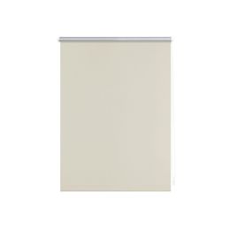 LICHTBLICK Thermo-Rollo Klemmfix, Creme, 75x150 cm (Creme, 75x150 cm) 100312502125
