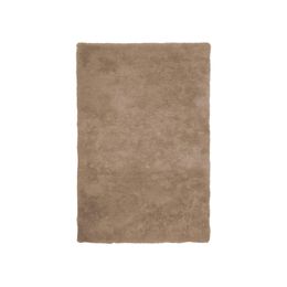 Obsession My Curacao 490 (Taupe, 160x230) 100260732024