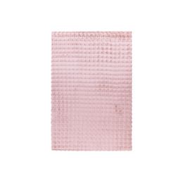 Padiro Teppich Hailey (100, Pink, 160 x 230 cm)"" 100384664008