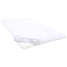 Biberna Premium Jersey-Elasthan Spannbettlaken f&uuml;r Topper (Weiss, 140 - 160 x 200 cm) 100227070003