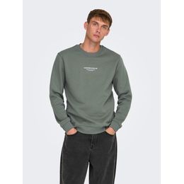 Only & Sons Sweatshirt ONLY & SONS "ONSCURATED REG CREW NECK SWEAT", Herren, Gr. S, grau (castor gray), angeraute Sweatware, Obermaterial: 65% Baumwolle, 35% Polyester, bedruckt, regular fit normal, Rundhals, Rippb&uuml;ndchen, Sweatshirts Sweatshirt