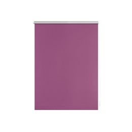 LICHTBLICK Thermo-Rollo Klemmfix, ohne Bohren, Verdunkelung (Fuchsia, 90x220 cm) 100312502064