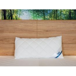 Beco Kopfkissen Proneem mit Milbenschutz, gesteppt (40 x 80 cm) 100270761002