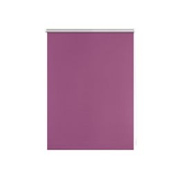 LICHTBLICK Thermo-Rollo Klemmfix, ohne Bohren, Verdunkelung (Fuchsia, 45x150 cm) 100312502043