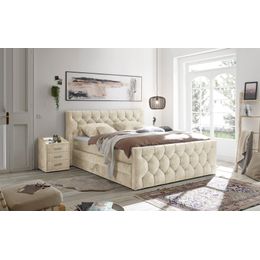 Boxspringbett ED EXCITING DESIGN "Cashfield", inkl. zwei Bettk&auml;sten & Topper", beige (creme), B:200cm L:225cm, 100% Polyester, Komplettbetten, Boxspringbett, erh&auml;ltlich in den Gr&ouml;&szlig;en 160x200cm und 180x200cm, Topseller