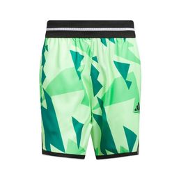 Adidas Crazylite Aop 2 Short Grau JN4718-J_S_9_ZOLL