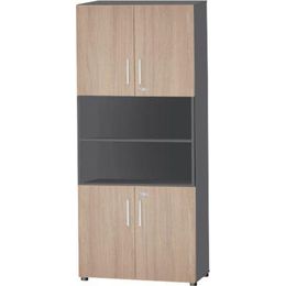 Sch&auml;fer Shop Sch&auml;fer Shop Select Kombischrank SET UP, 6 OH, B 800 x T 420 x H 2240 mm, graphit/eiche