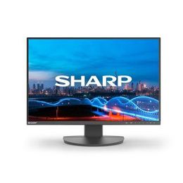 Businessmonitor Sharp MultiSync&reg; EA241W, 24&Prime;, 1920 x 1200, HDMI/DisplayPort/USB/VGA, dreh-/schwenk-/neigbar, h&ouml;henverstellbar, schwarz