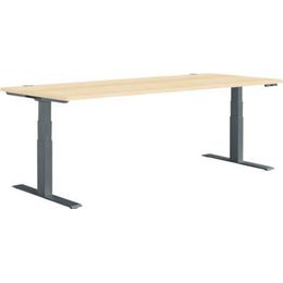 Sch&auml;fer Shop Sch&auml;fer Shop Genius Schreibtisch MODENA FLEX, elektrisch h&ouml;henverstellbar, Rechteck, T-Fu&szlig;, B 2000 x T 800 mm, Ahorn/anthrazit