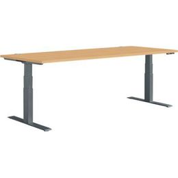 Sch&auml;fer Shop Sch&auml;fer Shop Genius Schreibtisch MODENA FLEX, elektrisch h&ouml;henverstellbar, Rechteck, T-Fu&szlig;, B 2000 x T 800 mm, Buche/anthrazit