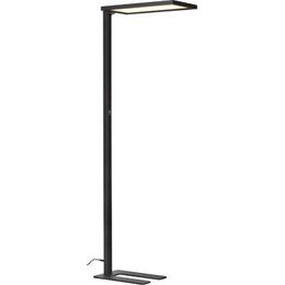 Stehleuchte Worklight EASY FL 940, LED 60 W, dimmbar, 4000 K, 7150 lm, direkt/indirekt, H 1950 mm, Kopf 570 x 280 mm, Stahlfu&szlig;, schwarz