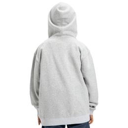 Hoodie DC Shoes "Substitute", Jungen, Gr. 12(148-156cm), grau (light erdgrau), Obermaterial: 55% Walkfrottier, 25% Walkfrottier, 20% Microfaser;, Sweatshirts Hoodie