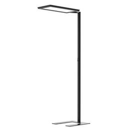 LED-Stehleuchte Waldmann YARA.single, 107 W, 15000 lm, 2700&ndash;6500 K, magnetisches Bedienteil, Bewegungs- & Tageslichtsensor, Direkt-/Indirektlicht, schwarz