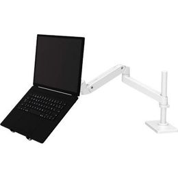 Monitorarm Ergotron LX Pro, hohe S&auml;ule, f&uuml;r 1 Display bis 34&Prime;, neig-/schwenkbar, h&ouml;henverstellbar, Tischhalterung, VESA, Metall, wei&szlig;