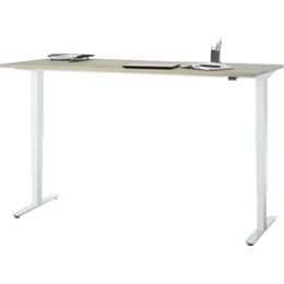 Schreibtisch, elektrisch h&ouml;henverstellbar, T-Fu&szlig; ohne Traverse, B 1800 x T 800 x H 605&ndash;1265 mm, Eiche/wei&szlig;