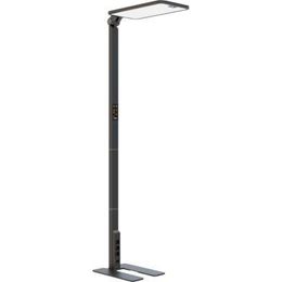 LAS LED Stehleuchte STARIS, 80 W, 10070 lm, 3000 - 6000 K, dimmbar, direkt/indirekt leuchtend, f&uuml;r Bildschirmarbeitspl&auml;tze, Tageslichtsensor, 3 Steckdosen, schwarz