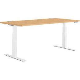 Sch&auml;fer Shop Sch&auml;fer Shop Genius Schreibtisch MODENA FLEX, elektrisch h&ouml;henverstellbar, Rechteck, T-Fu&szlig;, B 1600 x T 800 mm, Buche/wei&szlig;