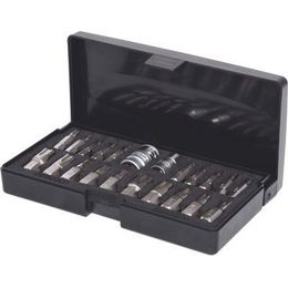 Torx plus Steckschl&uuml;ssel-Satz 22-tlg