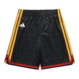 Adidas DBB Deutschland Short Away 2026 Grau HZ6776_S