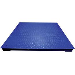 W&auml;gebr&uuml;cke ae Adam PT 115, mit GK-Plus Anzeigeger&auml;t, Ablesbarkeit 200 g/W&auml;gebereich bis 1000 kg, RS-232, Netz-/Akkubetrieb, Plattform B 1500 x T 1500 mm