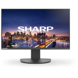 Businessmonitor Sharp MultiSync&reg; EA242F, 23,8&Prime;, 1920 x 1000, HDMI/DisplayPort/USB, dreh-/schwenk-/neigbar, h&ouml;henverstellbar, schwarz