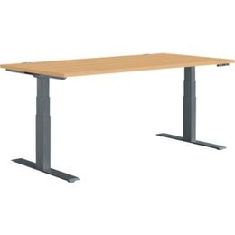 Sch&auml;fer Shop Sch&auml;fer Shop Genius Schreibtisch MODENA FLEX, elektrisch h&ouml;henverstellbar, Rechteck, T-Fu&szlig;, B 1600 x T 800 mm, Buche/anthrazit