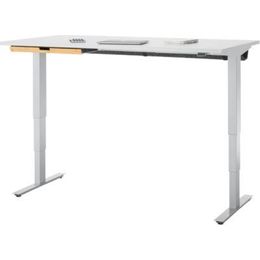 Schreibtisch mit Bambus-Zubeh&ouml;rschublade & Kabelkanal aus Recyclingfilz, elektrisch h&ouml;henverstellbar, B 1600 x T 800 x H 605&ndash;1265 mm, lichtgrau/silber