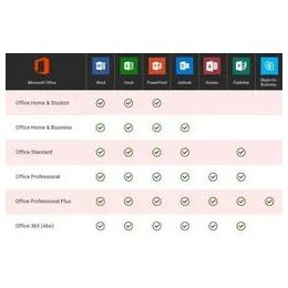 Microsoft Office Professional ( ESD ) 2021