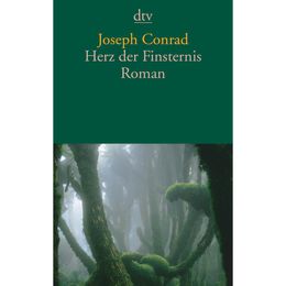 dtv Verlagsgesellschaft Herz der Finsternis