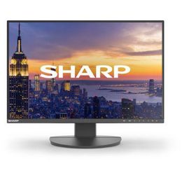 Businessmonitor Sharp MultiSync&reg; EA242W, 24&Prime;, 1920 x 1200, HDMI/DisplayPort/USB-Hub/DVI-D, dreh-/schwenk-/neigbar, h&ouml;henverstellbar, schwarz