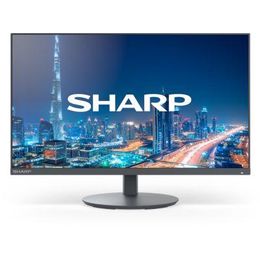 Businessmonitor Sharp MultiSync&reg; E244F, 24&Prime;, 1920 x 1080, HDMI/DisplayPort/VGA, dreh-/schwenk-/neigbar, h&ouml;henverstellbar, schwarz