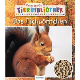 Esslinger Meine gro&szlig;e Tierbibliothek: Das Eichh&ouml;rnchen