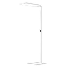 LED-Stehleuchte Waldmann YARA.single, 107 W, 15000 lm, 2700&ndash;6500 K, magnetisches Bedienteil, Bewegungs- & Tageslichtsensor, Direkt-/Indirektlicht, wei&szlig;