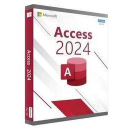 Microsoft Access 2024, ESD