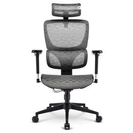 Sharkoon OfficePal C40M B&uuml;rostuhl, grau