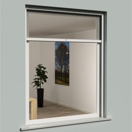 toom Insektenschutz-Rollo 'Easy' f&uuml;r Fenster max. 125 x 150 cm