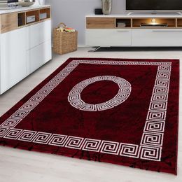 Teppich Ayyildiz Teppiche "PLUS 8009", rot, B:120cm H:6mm L:170cm, Polypropylen (PP), Teppiche, Teppich, L&auml;ufer, gemusterter Flachflor, robust, Webteppich, alle R&auml;ume