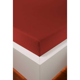 Spannbettlaken bellana "bellana deluxe mit Elasthan, Jersey 230 g/m&sup2;, Premium-Qualit&auml;t", kupfer, 1 Stk., Jersey-Elasthan, 180x200 180x210 180x220 190x200 190x210 190x220 200x200 200x210 200x220 35cm, Jersey-Elasthan, Obermaterial: 95% Baumwolle, 5% Elasthan (LYCRA), Bettlaken, Spannbettlaken, mit 5% Elasthan, f&uuml;r Matratzen bis 35cm H&ouml;he, b&uuml;gelfrei, faltenfrei