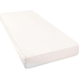Spannbettlaken OTTO HOME "SOUCY aus Baumwolle mit Elasthan, 160 g/m&sup2;", beige (creme), 1 Stk., Jersey-Elasthan, 180-200x200-220 30cm, Jersey-Elasthan, Obermaterial: 97% Baumwolle, 3% Elasthan, Bettlaken, Spannbettlaken, Premium Bettlaken f&uuml;r Matratzen bis 30 cm H&ouml;he, optimale Passform