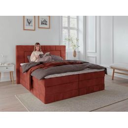 Boxbett OTTO HOME "PHILLIPA inkl. Bettkasten, wahlweise mit LED-Leuchten, Breite: 180cm", terracota, B:195cm L:210cm, Holz teilmassiv, Holzwerkstoff, Spanplatte, Komplettbetten, inkl. Kaltschaum-Topper, in verschiedenen Farben erh&auml;ltlich