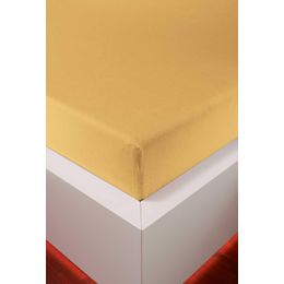Spannbettlaken bellana "bellana deluxe mit Elasthan, Jersey 230 g/m&sup2;, Premium-Qualit&auml;t", zitron, 1 Stk., Jersey-Elasthan, 100x200 100x210 100x220 110x200 110x210 110x220 120x200 120x210 120x220 90x200 90x210 90x220 35cm, Jersey-Elasthan, Obermaterial: 95% Baumwolle, 5% Elasthan (LYCRA), Bettlaken, Spannbettlaken, mit 5% Elasthan, f&uuml;r Matratzen bis 35cm H&ouml;he, b&uuml;gelfrei, faltenfrei