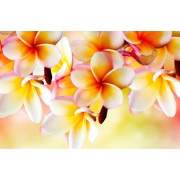 Fototapete papermoon "Blumen", bunt, B:3,5m L:2,6m, Vlies, Tapeten