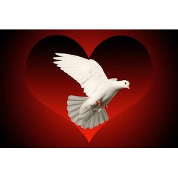 Fototapete papermoon "Vogel mit Herz", bunt, B:5m L:2,8m, Vlies, Tapeten