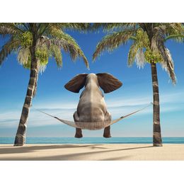 Fototapete papermoon "Elefant auf H&auml;ngematte an Strand", bunt, B:2,5m L:1,86m, Vlies, Tapeten