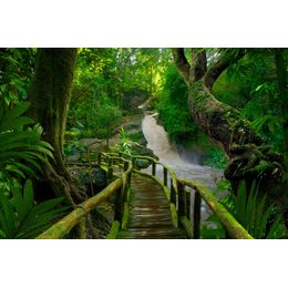 Fototapete papermoon "TROPISCHER WALD-BAUM DSCHUNGEL SONNE WEG WASSERFALL", bunt, B:5m L:2,8m, Vlies, Tapeten