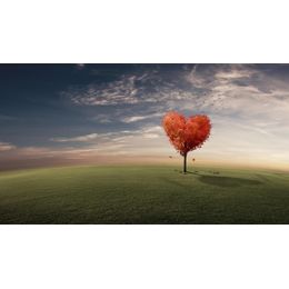 Fototapete papermoon "KONZEPT SURREAL-FANTASIE KONZEPT BAUM HERZ WIESE SONNE", bunt, B:4m L:2,6m, Vlies, Tapeten