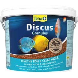Tetra Discus 10L