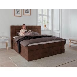 Boxbett OTTO HOME "PHILLIPA inkl. Bettkasten, wahlweise mit LED-Leuchten, Breite: 180cm", braun, B:195cm L:210cm, Holz teilmassiv, Holzwerkstoff, Spanplatte, Komplettbetten, inkl. Kaltschaum-Topper, in verschiedenen Farben erh&auml;ltlich