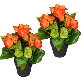 Kunstpflanze DELAVITA "Eleonore", orange, B:15cm H:24cm, Obermaterial: 50% Kunststoff, 50% Polyester, Kunstpflanzen, Kunstpflanze, im Topf, 2er Set
